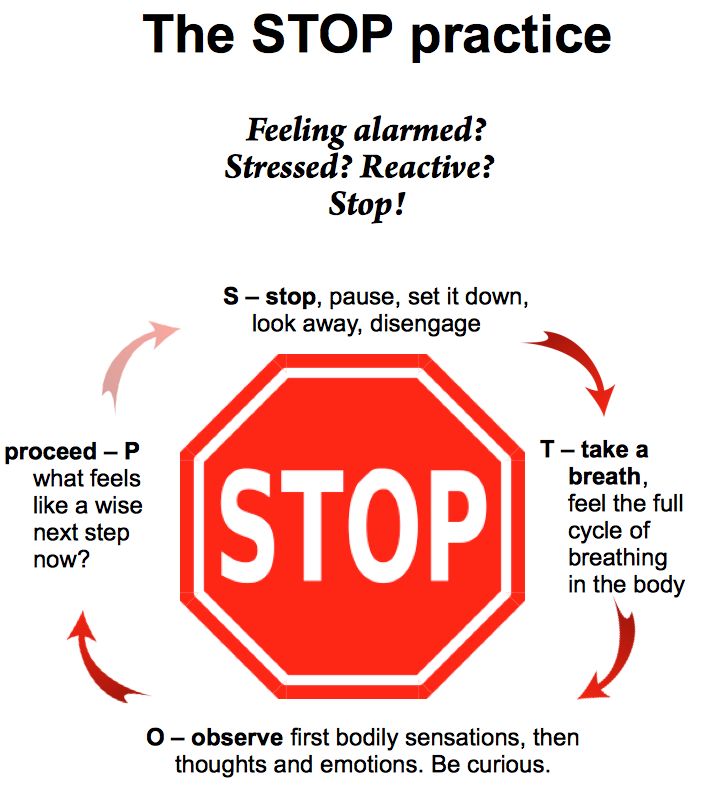 Feeling anxious? Remember to S.T.O.P. | All About Autism